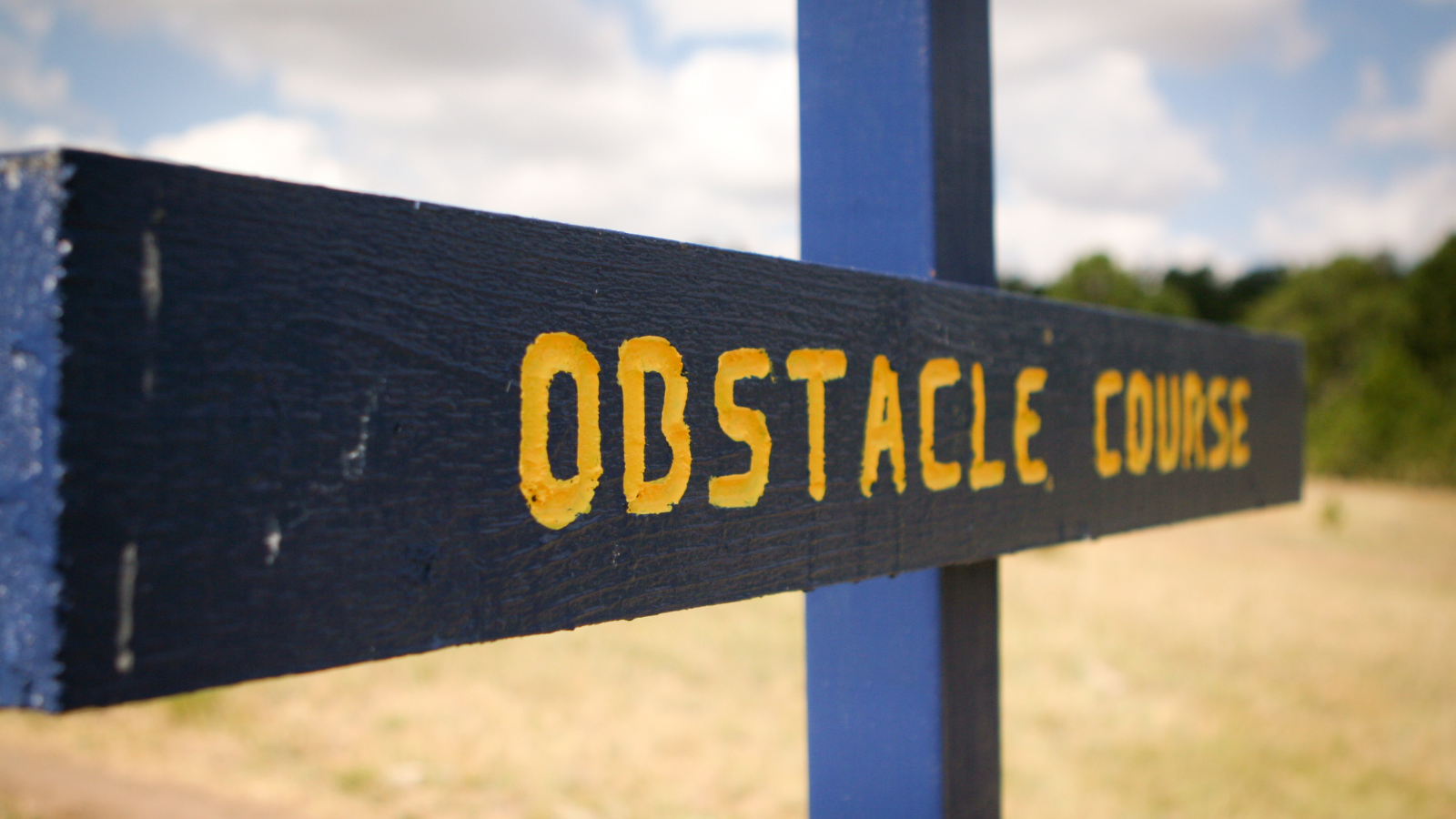 Obstacle or Opportunity? – Success Lies in Mind