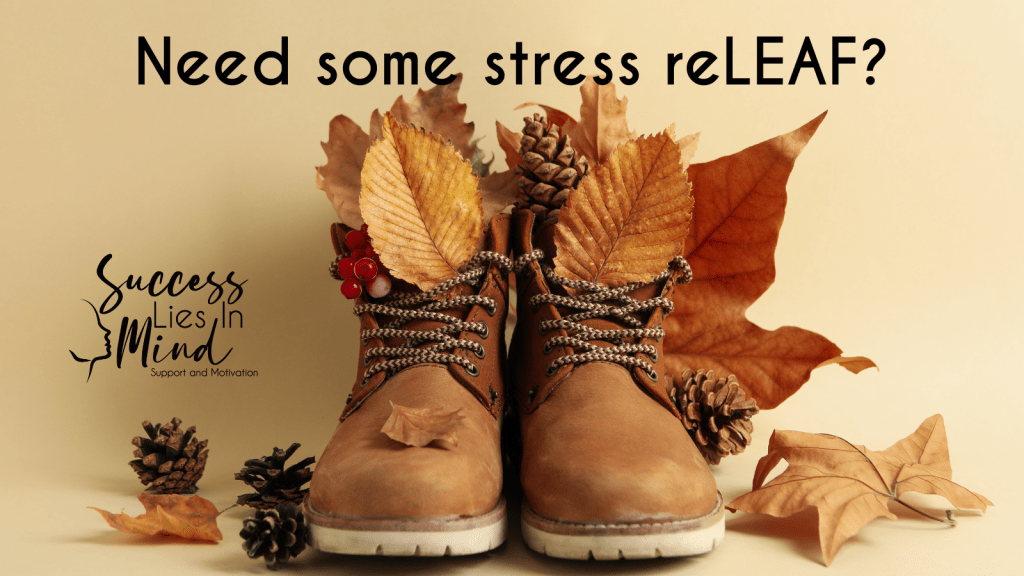 Be-Leaf!!!! – Success Lies in Mind